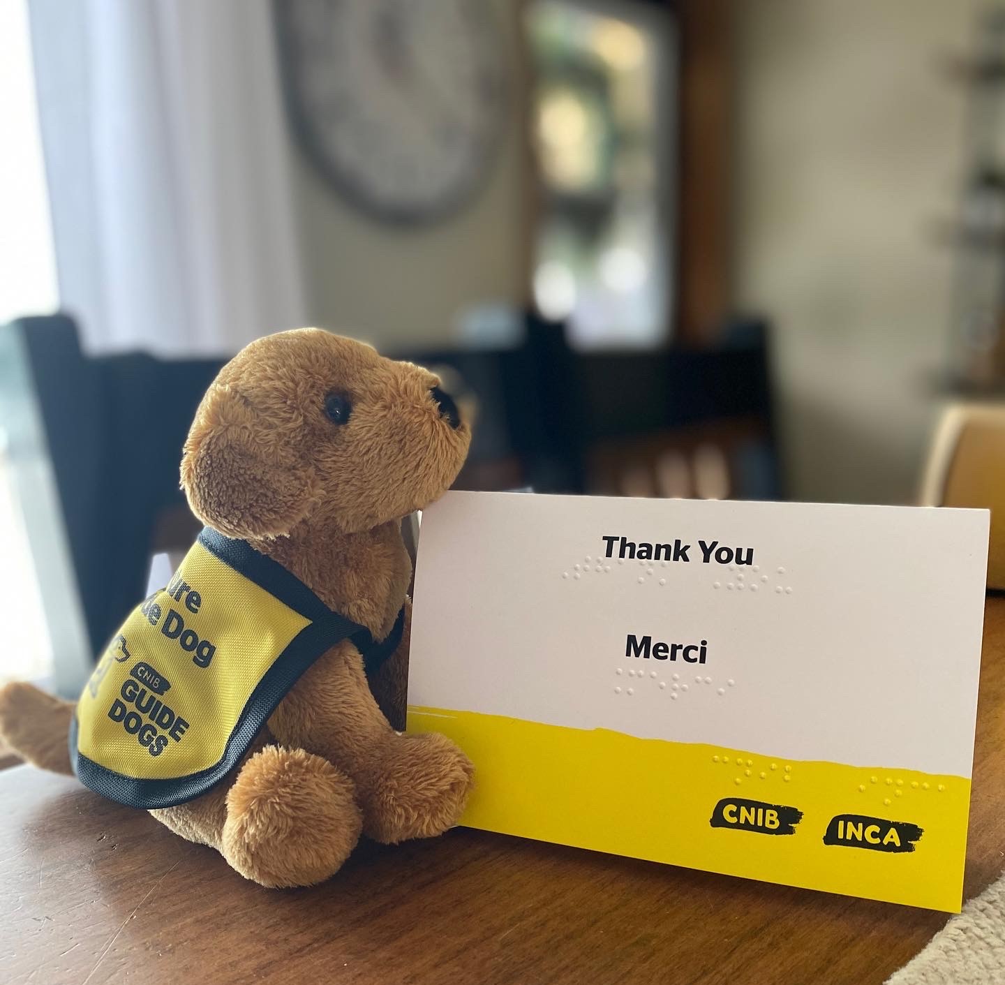 Service Dogs – Glenannon Station Golden Retrievers